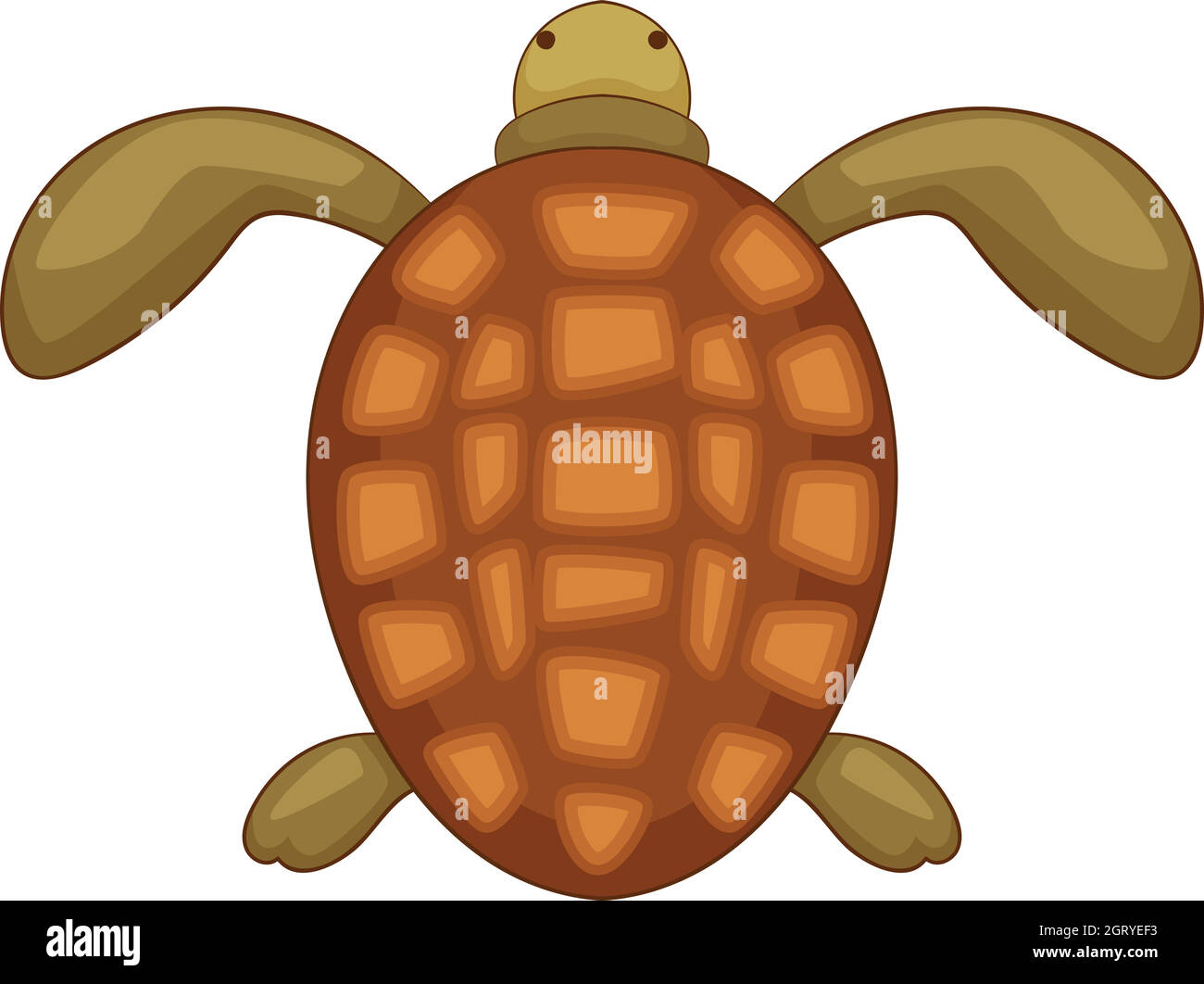 Turtle icon, cartoon style Stock Vector Image & Art - Alamy