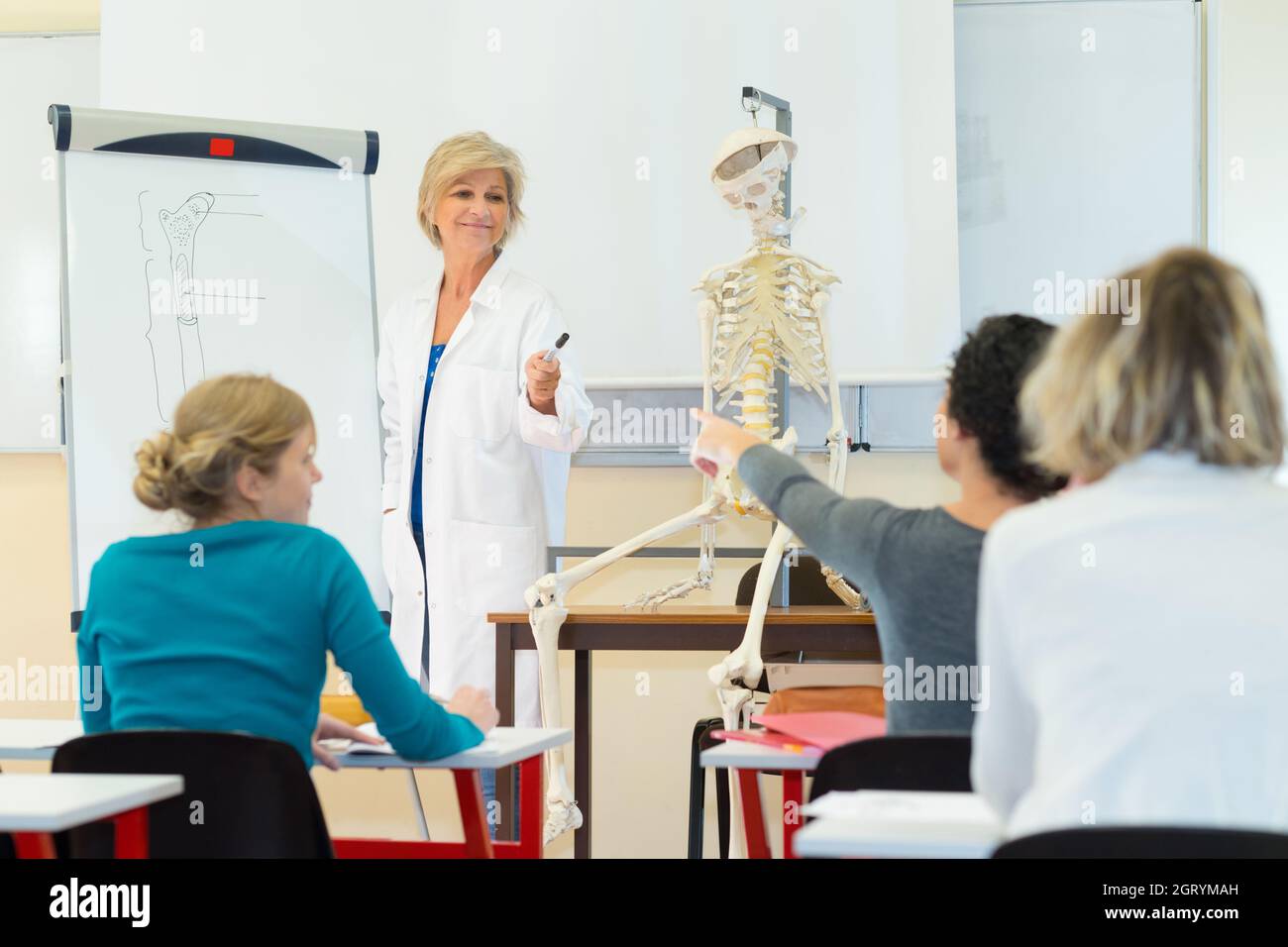 Medical molding hi-res stock photography and images - Alamy