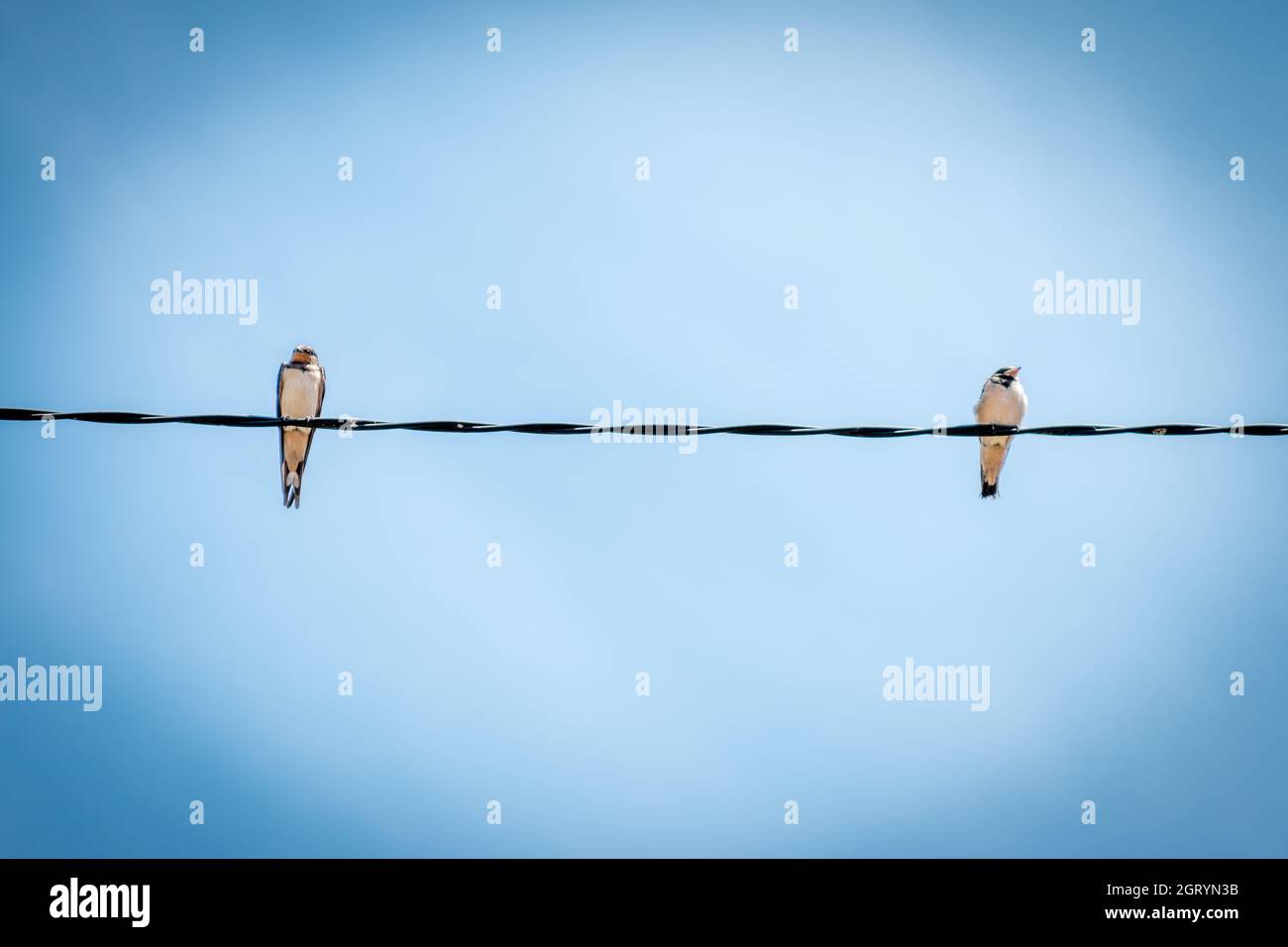 Paredes de cable hi-res stock photography and images - Alamy