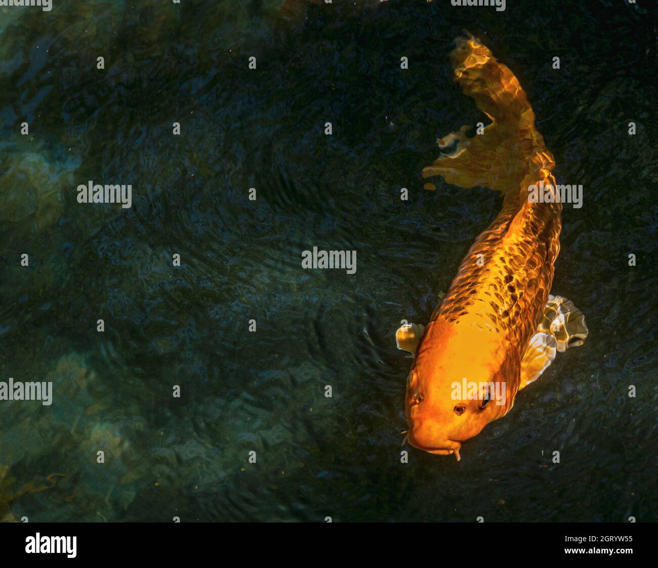 Symbol of good fortune hi-res stock photography and images - Alamy