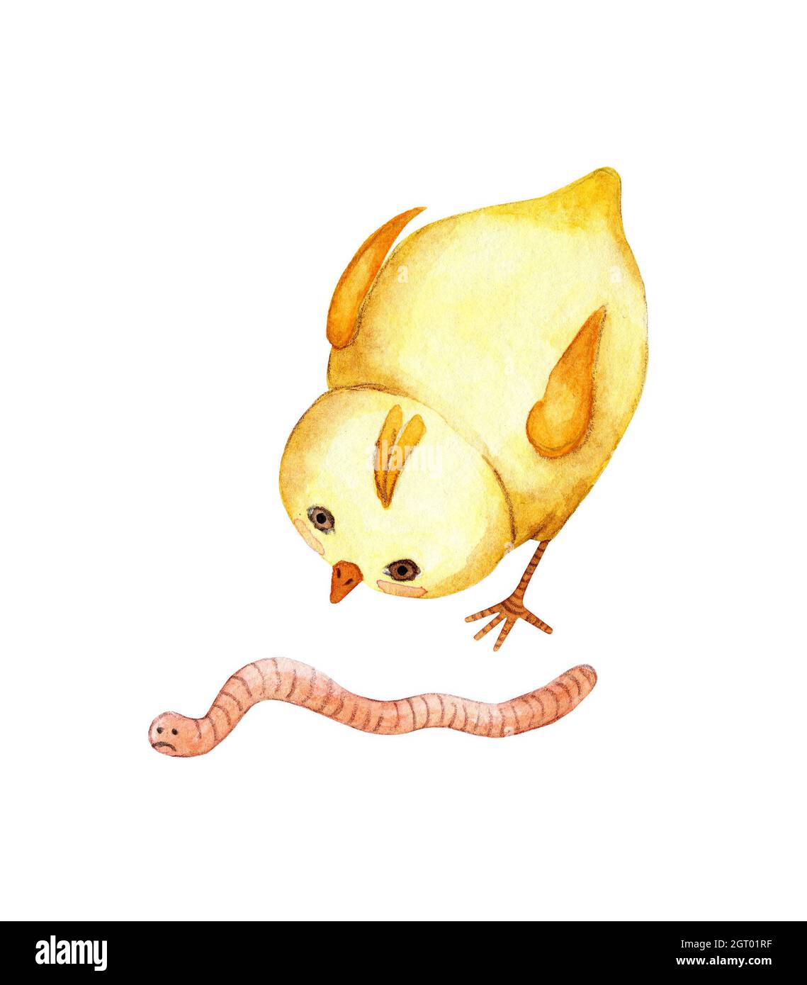 Watercolor illustration of a cute little yellow chicken looking at a ...