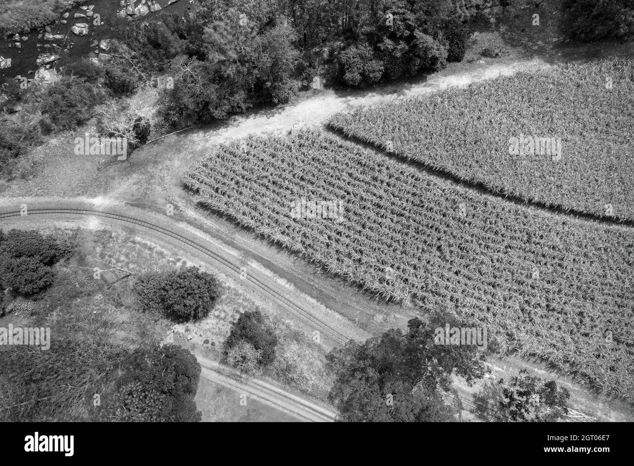 Monotone aerial landscape pattern of a road and railway tracks beside ...