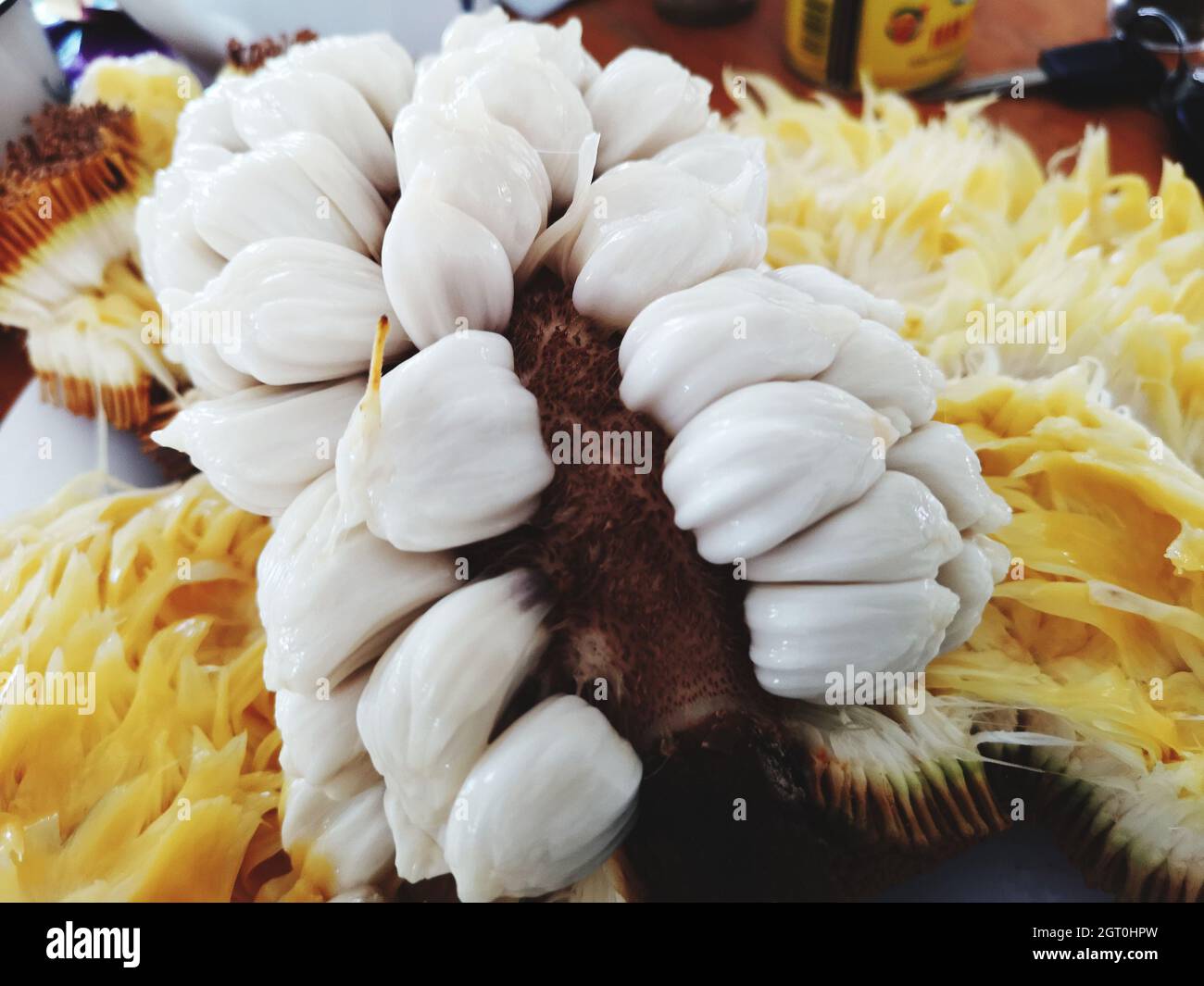 Tarap hi-res stock photography and images - Alamy