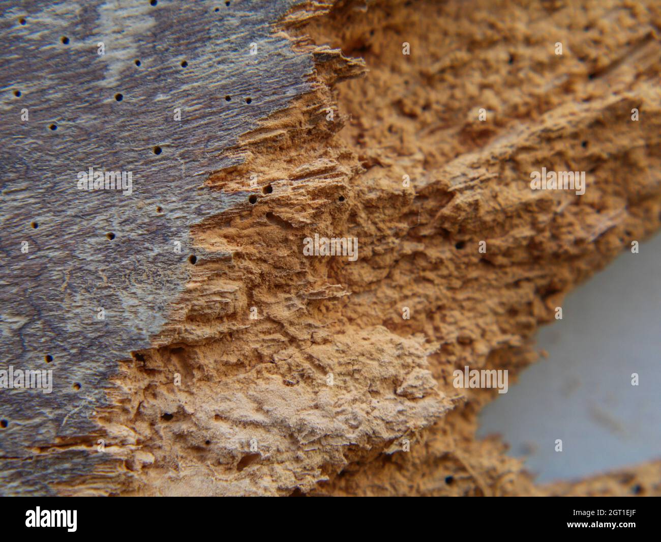 Broken Piece Of Wood High Resolution Stock Photography and Images - Alamy