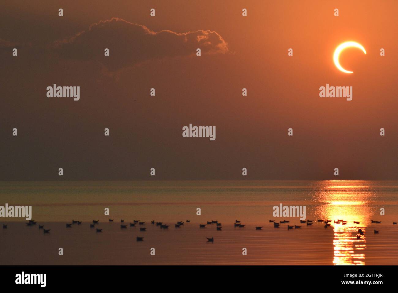 Eclipse solar birds hi-res stock photography and images - Alamy