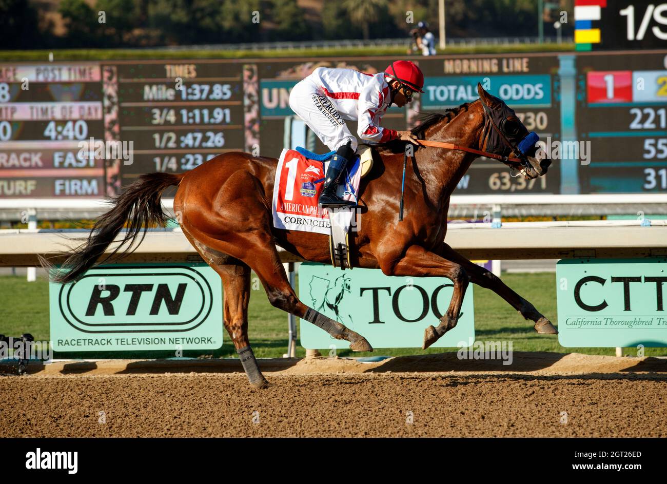American eclipse horse hi-res stock photography and images - Alamy