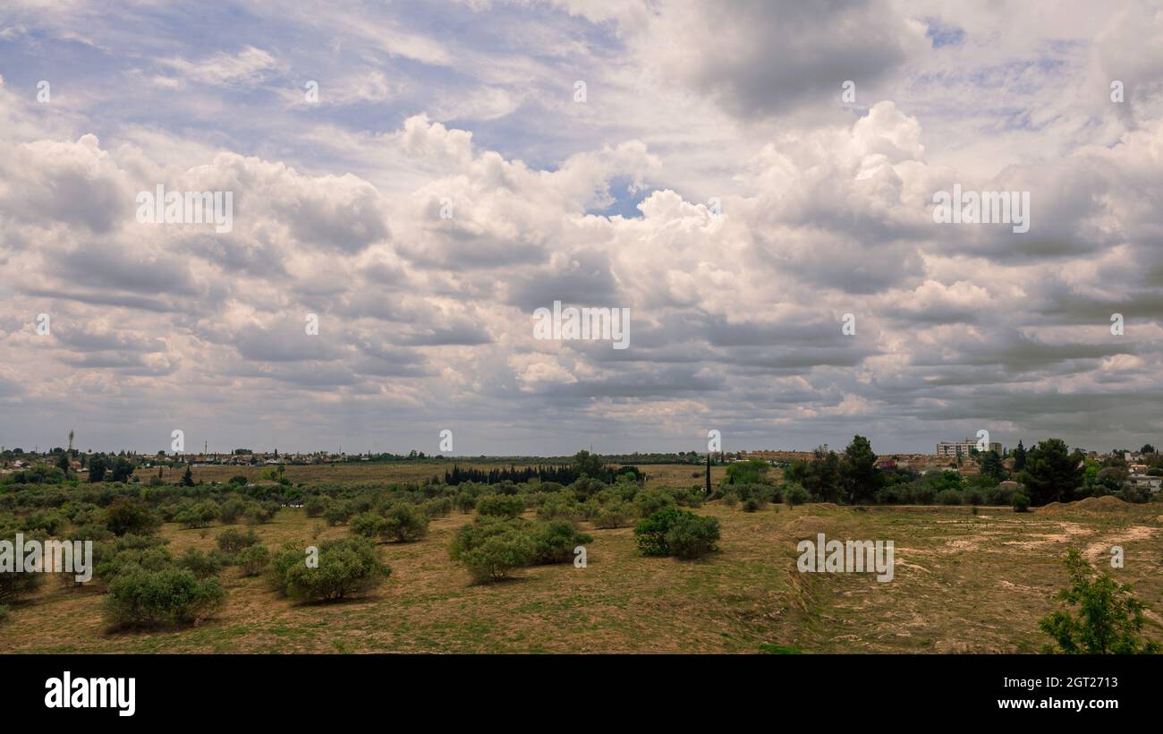 Aerial view of green fields under the sun of a beautiful spring morning ...