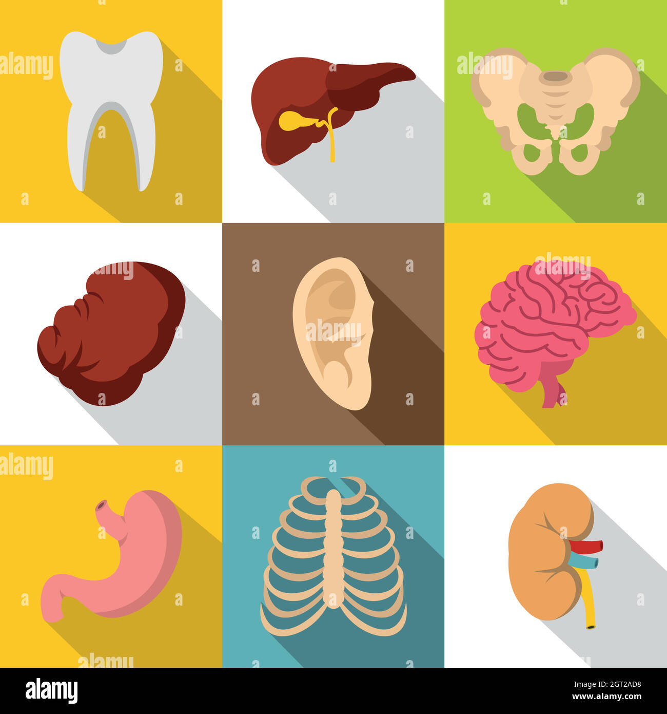 Bodies icons set, flat style Stock Vector Image & Art - Alamy
