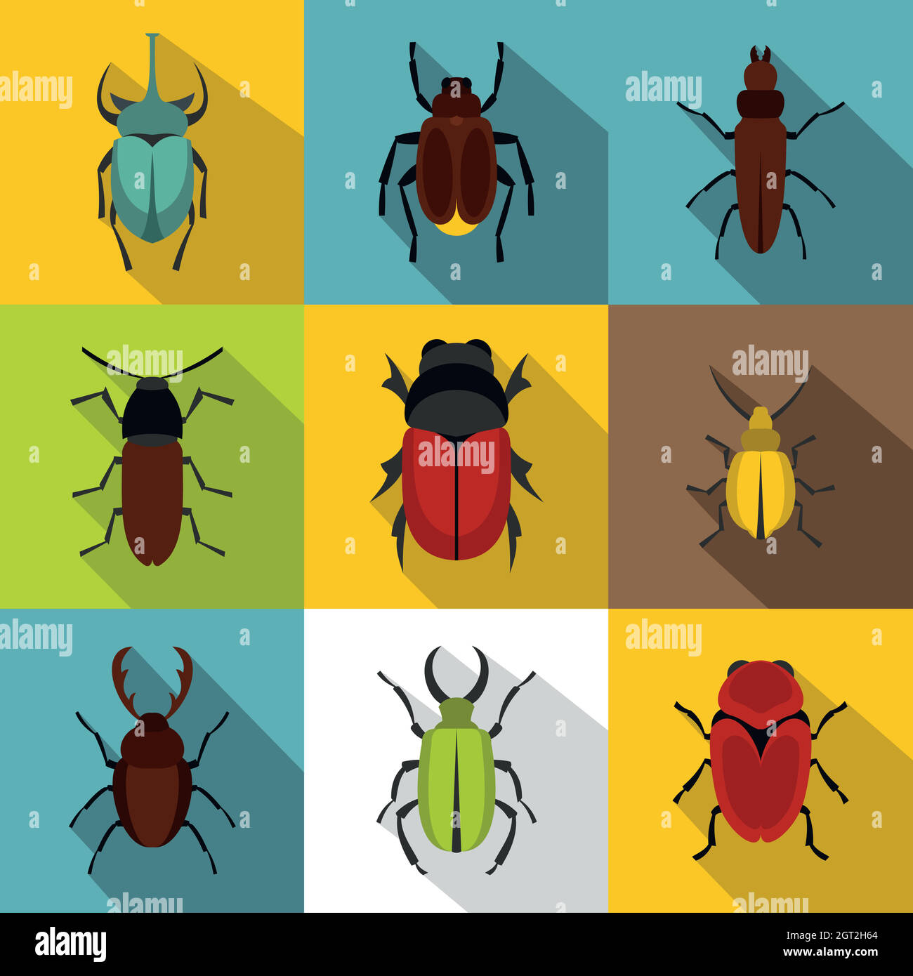 Species of beetles icons set, flat style Stock Vector Image & Art - Alamy