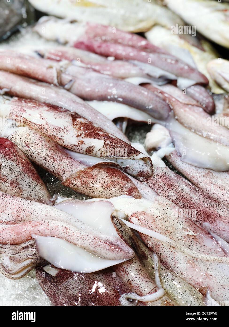 Abu dhabi fish market hi-res stock photography and images - Alamy