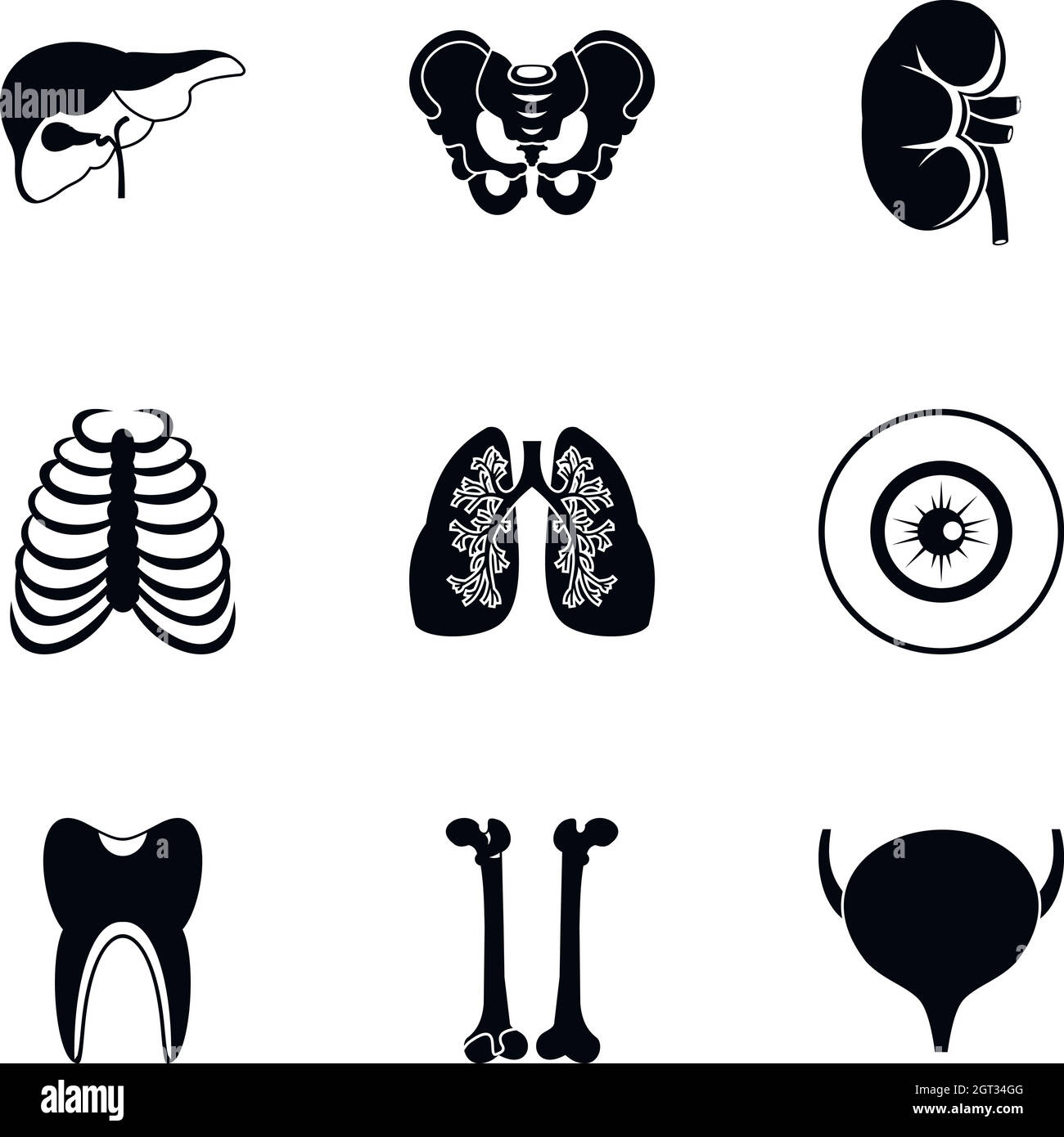 Bodies icons set, simple style Stock Vector Image & Art - Alamy