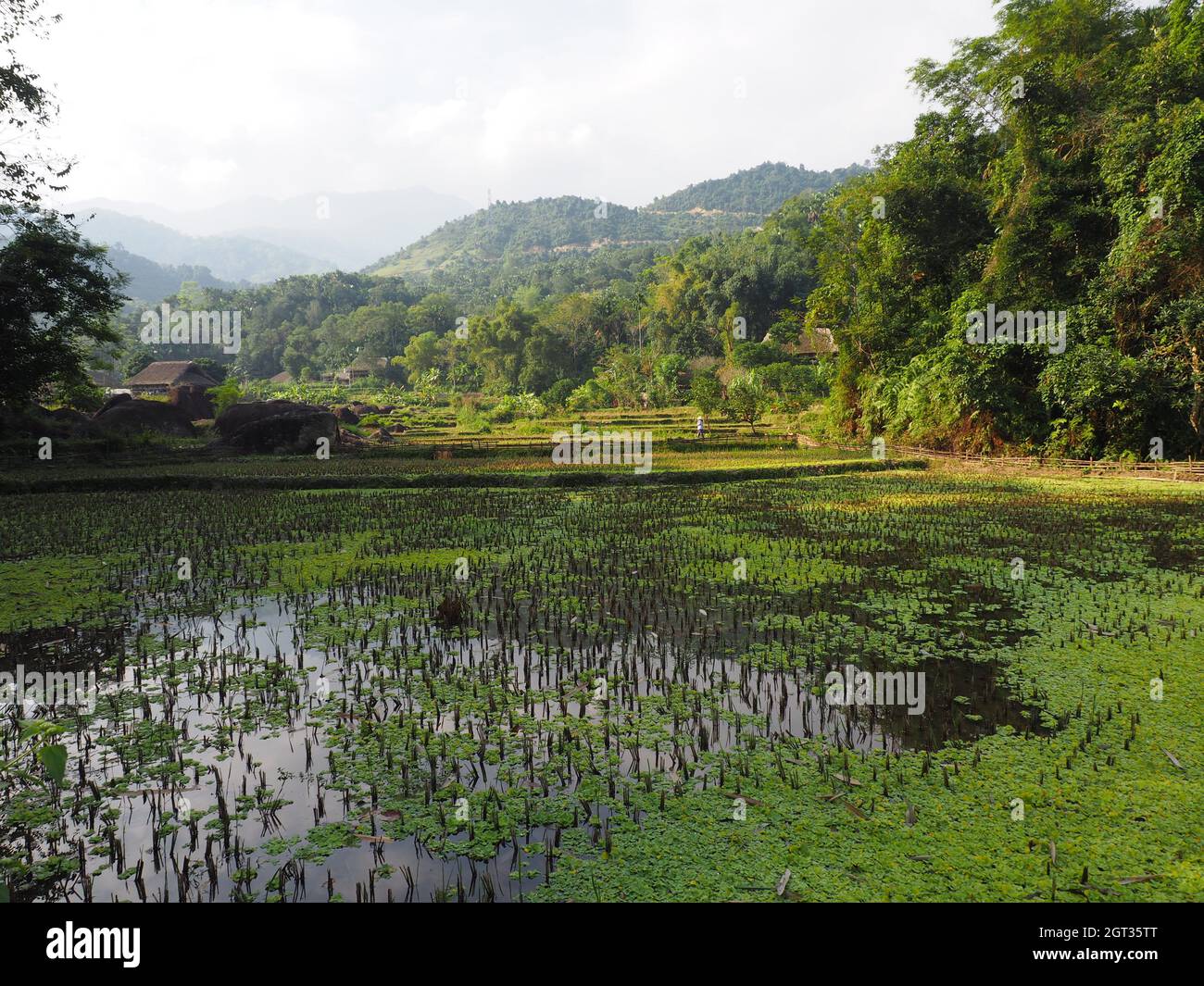 Fied hi-res stock photography and images - Alamy