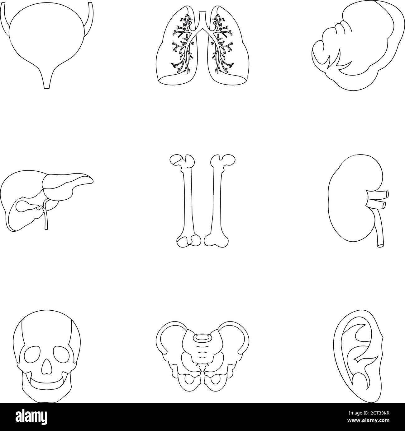 Bodies icons set, outline style Stock Vector Image & Art - Alamy