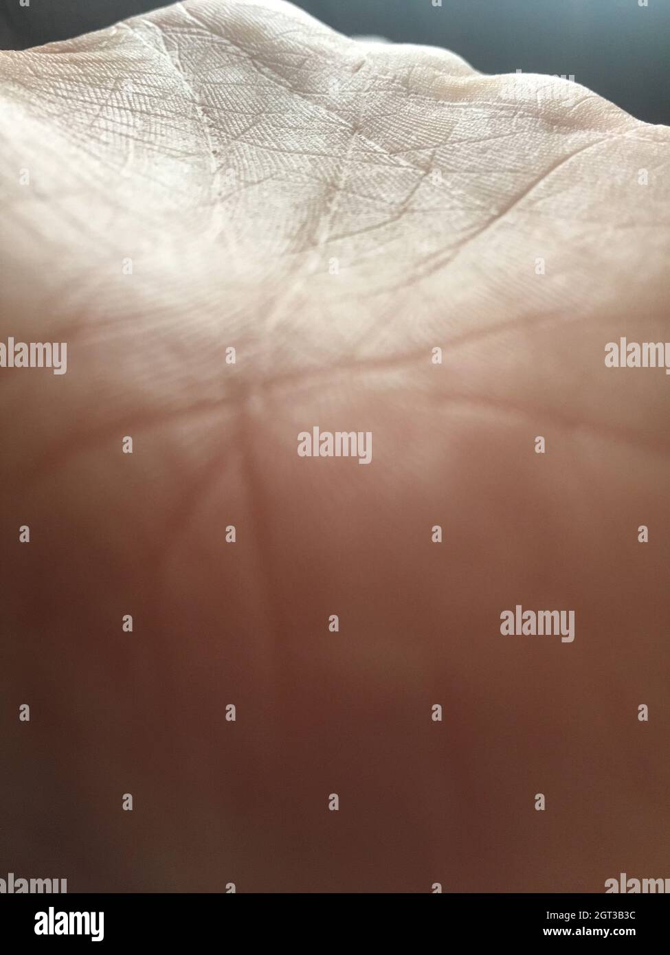 Human Leg Close Up Skin High Resolution Stock Photography and Images ...