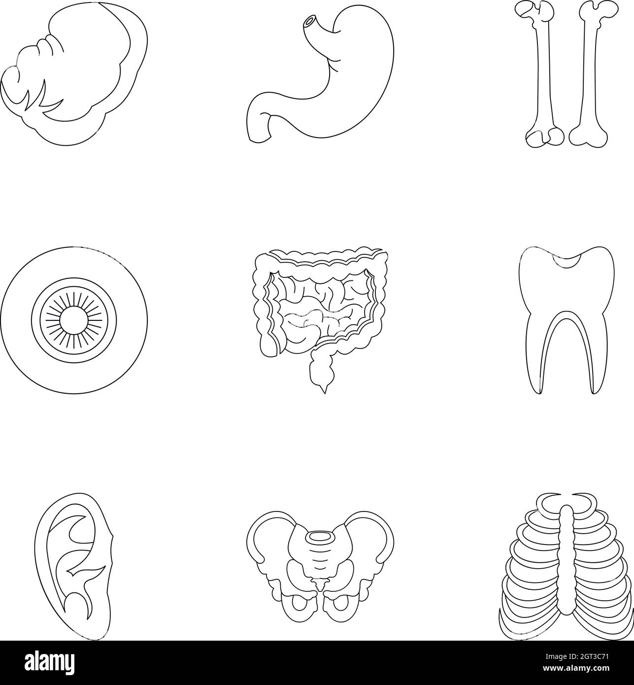 Spleen structure Stock Vector Images - Alamy