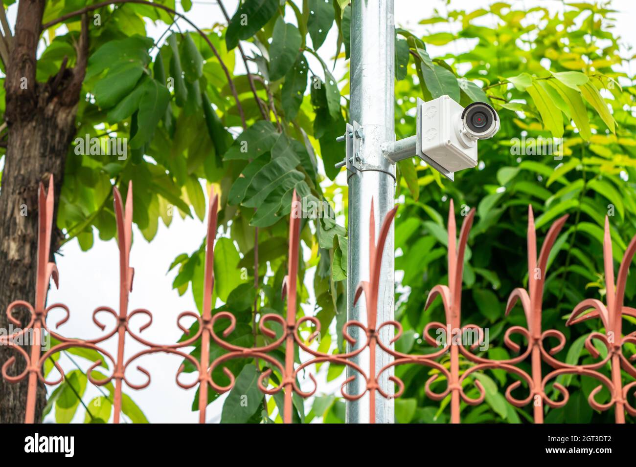 CCTV camera is installed in the garden with blur green tree background ...