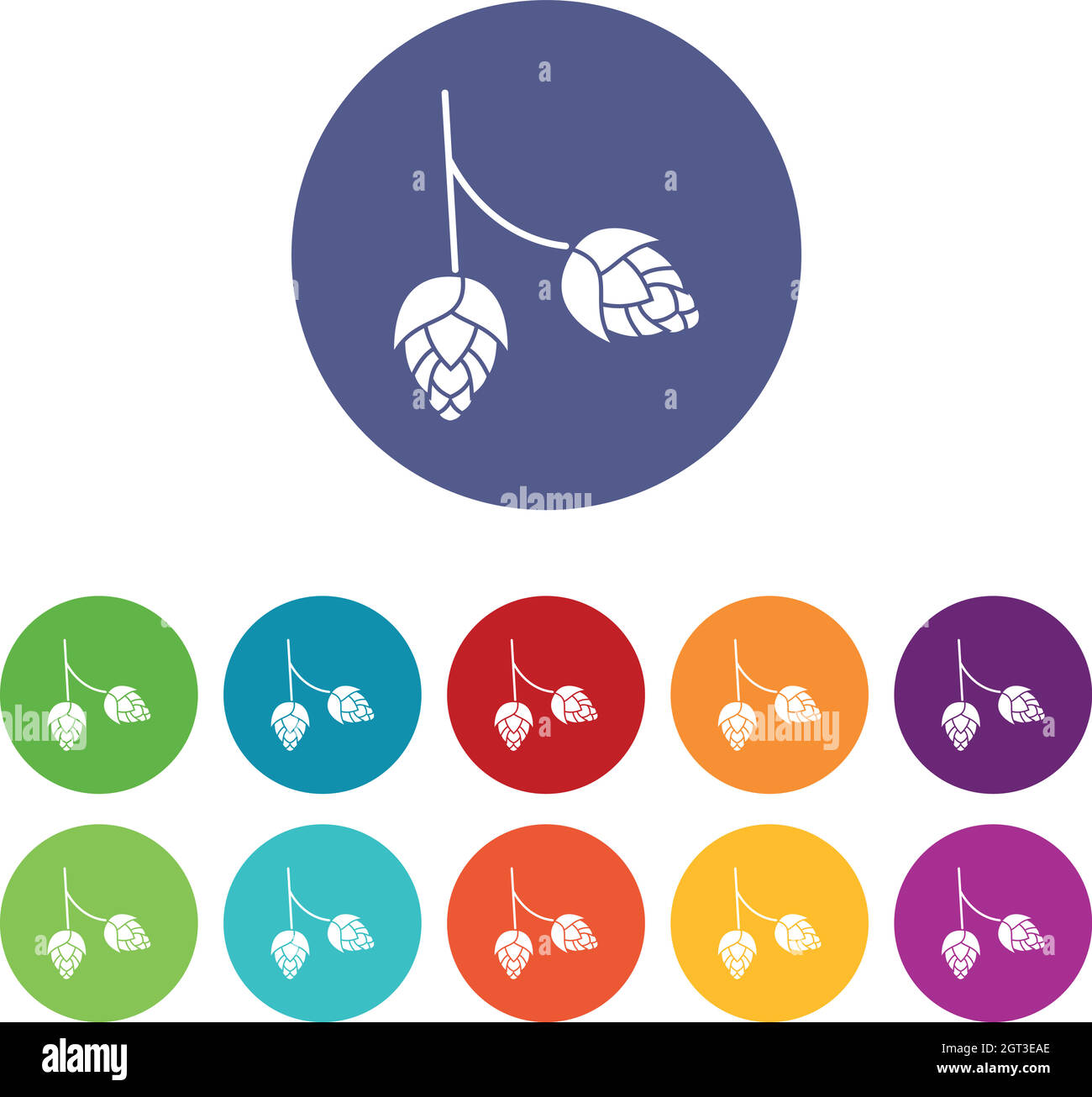 Hops product Stock Vector Images - Alamy
