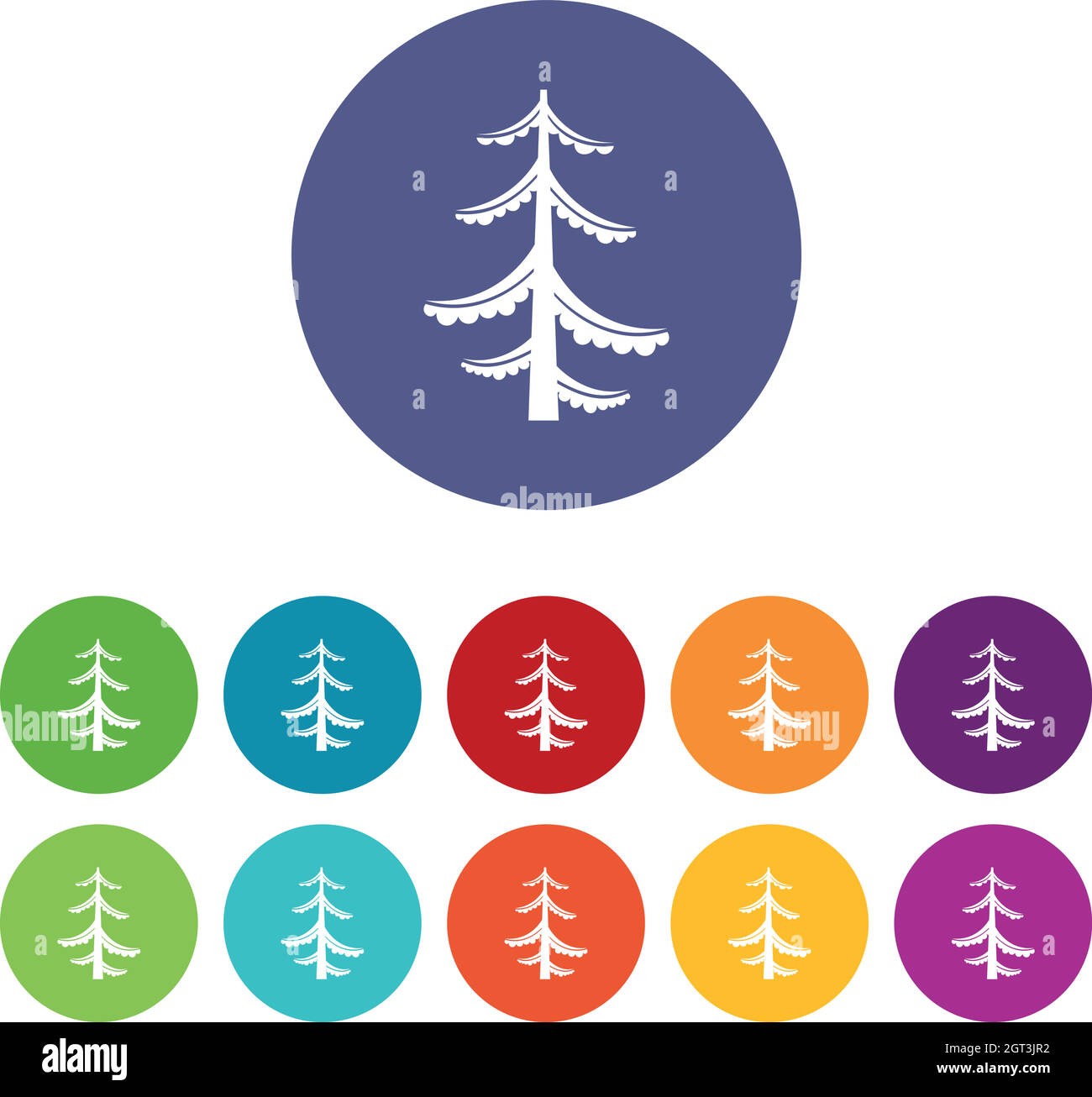 Old pine Stock Vector Images - Alamy