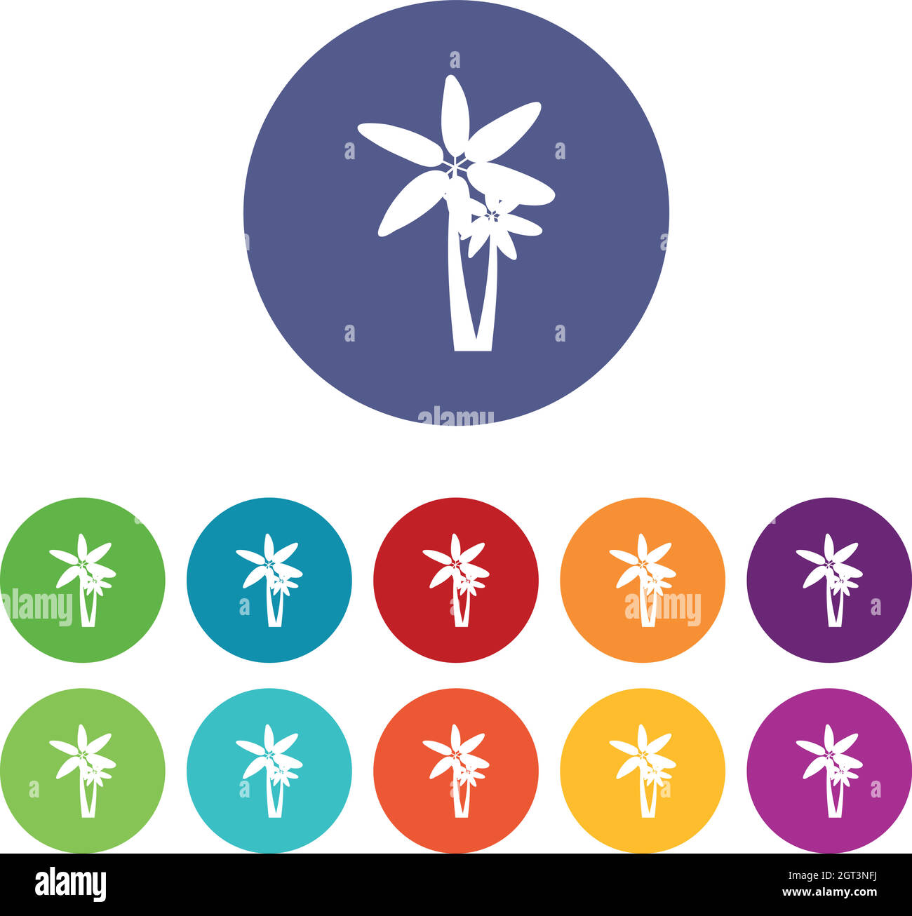 Two palm trees set icons Stock Vector Image & Art - Alamy