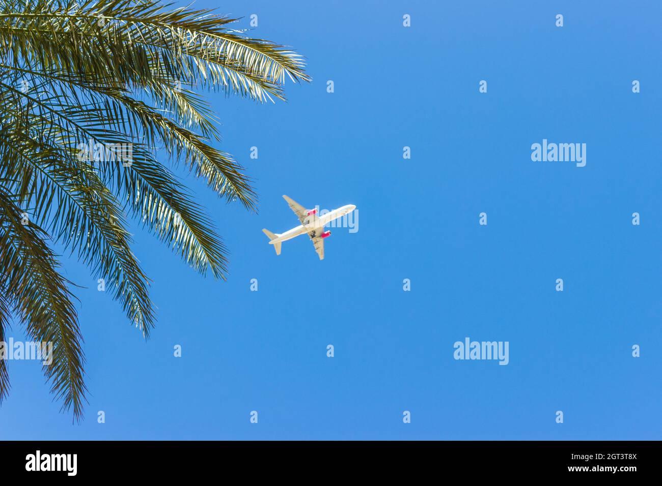 Airplane flying over palm trees hi-res stock photography and images - Alamy