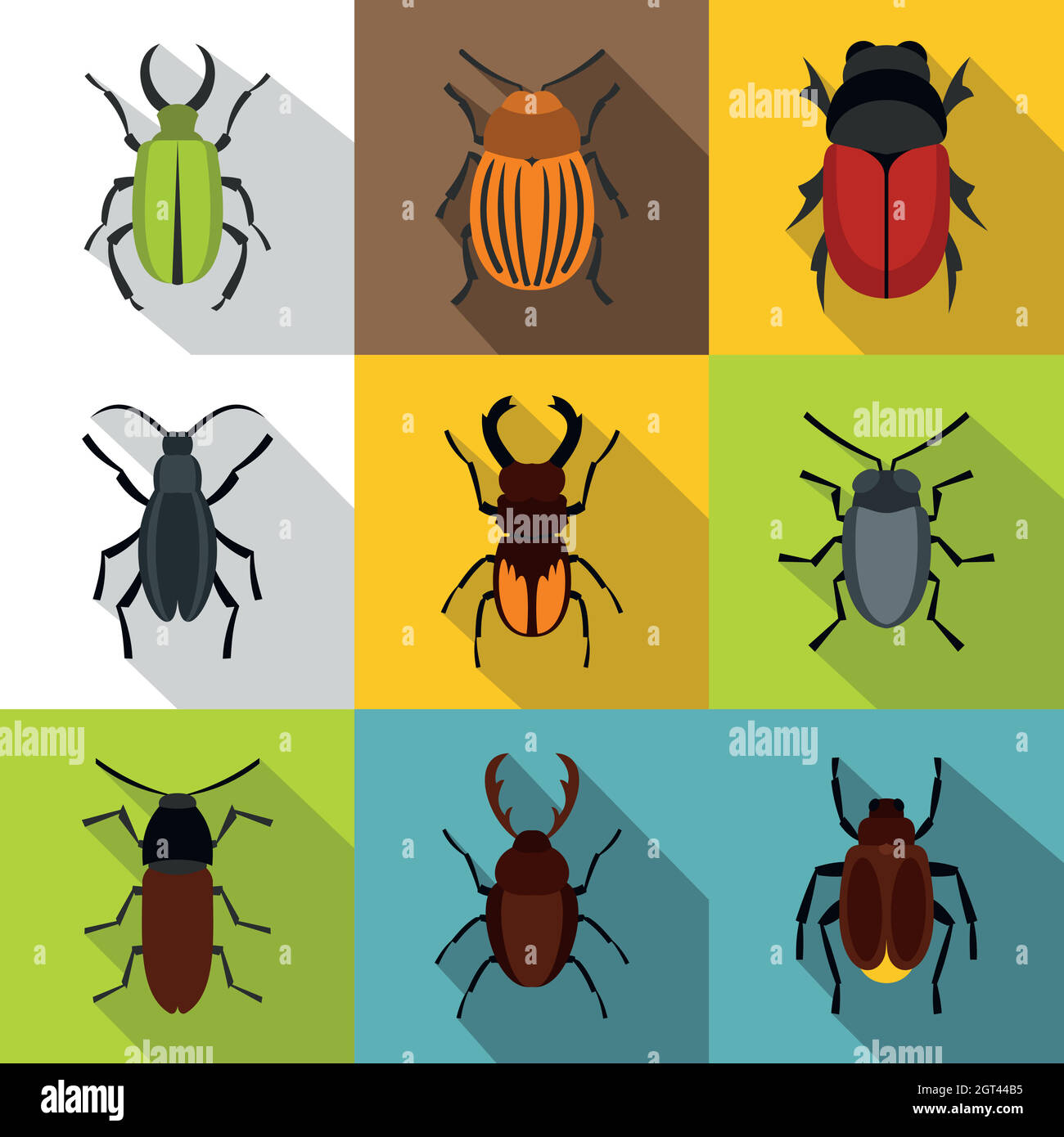 Order coleoptera icons set, flat style Stock Vector Image & Art - Alamy
