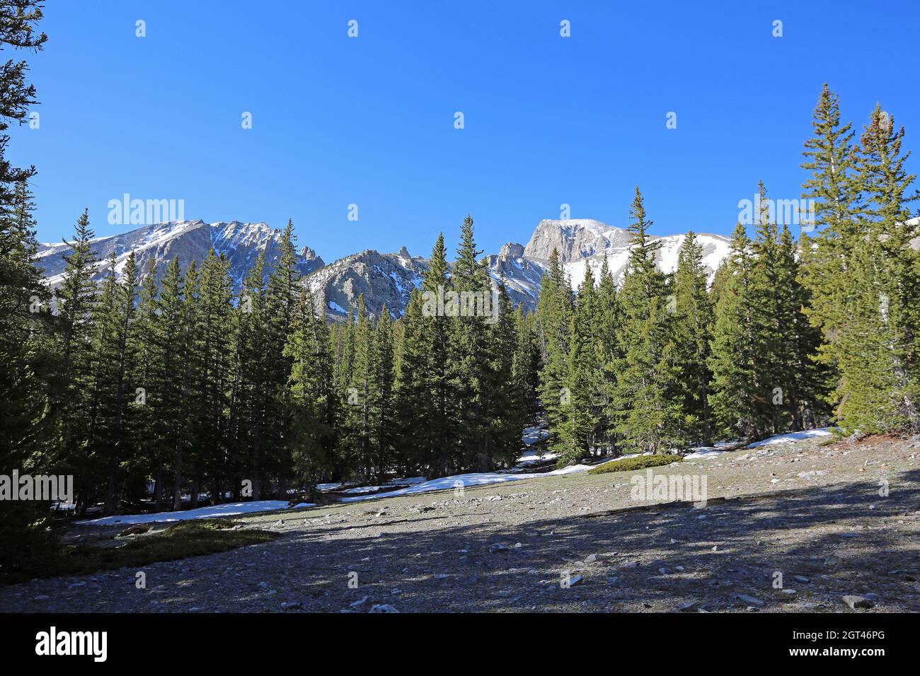 Jeff davis peak great basin hi-res stock photography and images - Alamy