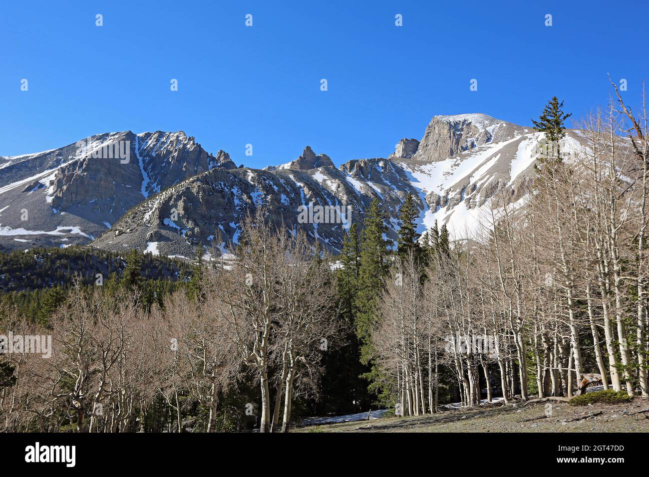 Davis mountains basin hi-res stock photography and images - Alamy