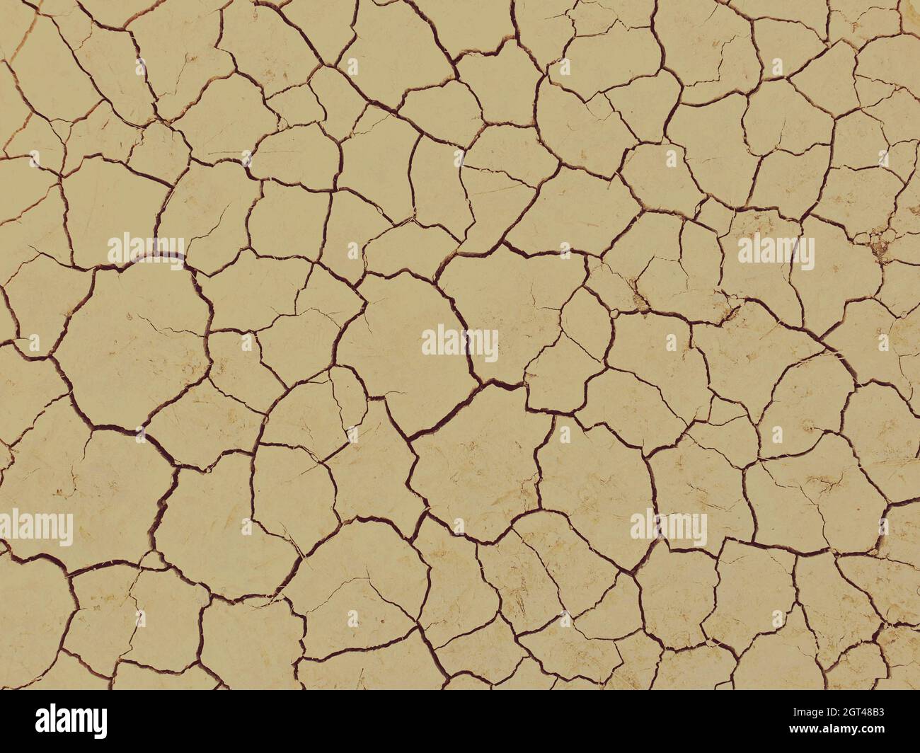 Gold colored soil hi-res stock photography and images - Alamy