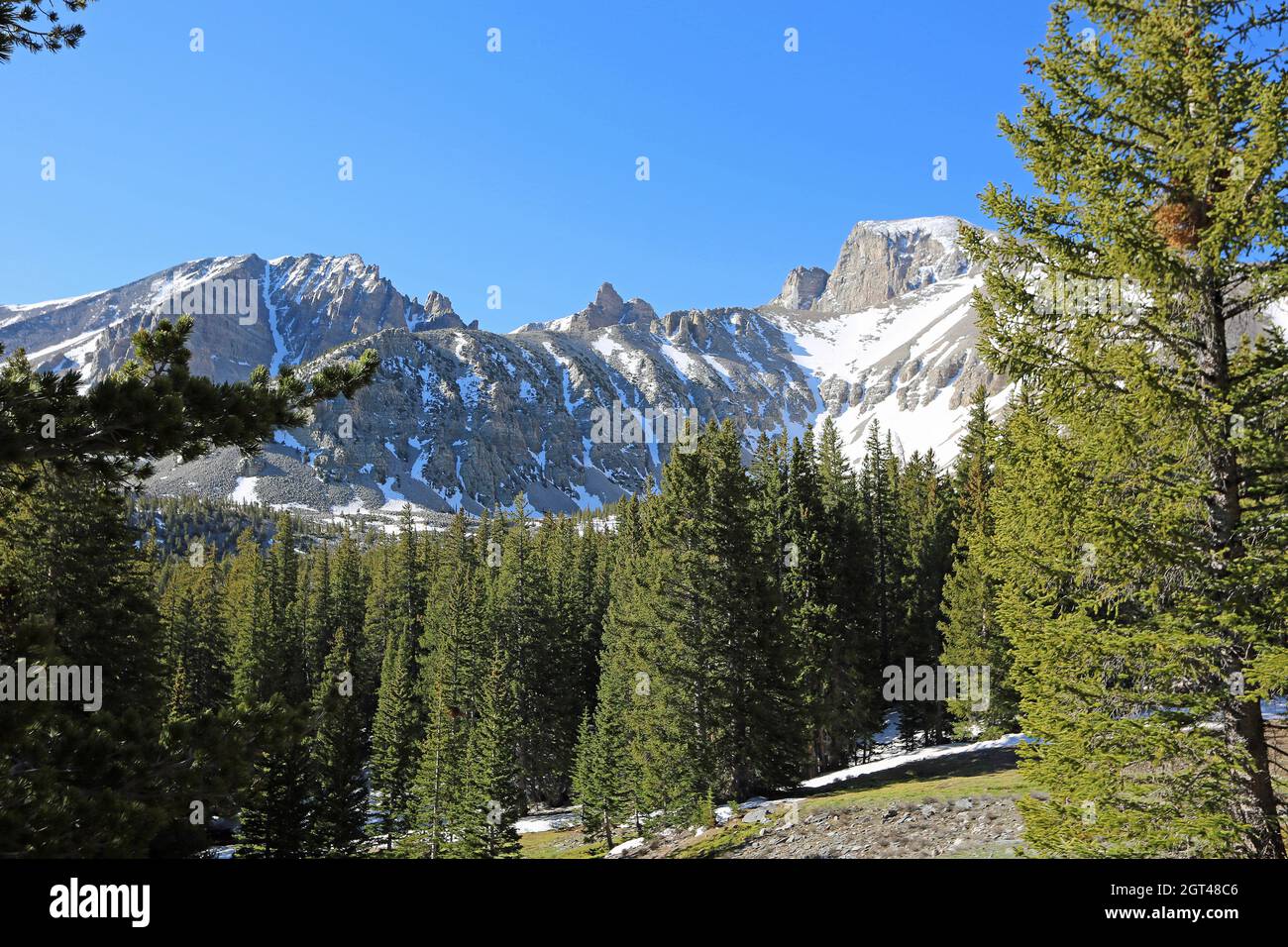 Jeff davis peak great basin hi-res stock photography and images - Alamy