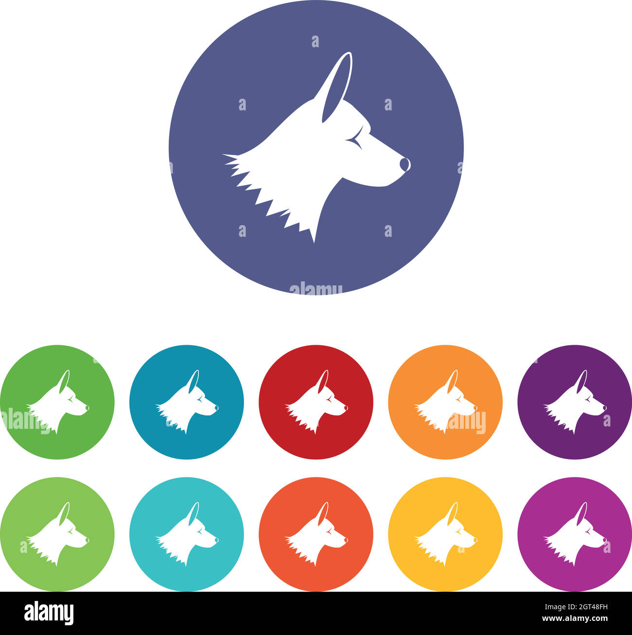 Collie Stock Vector Images - Alamy