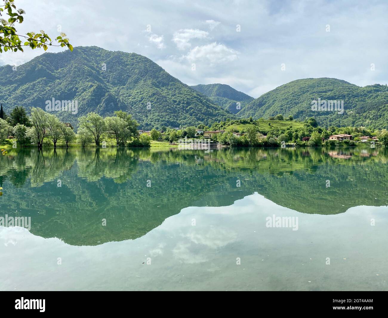 Watery forest hi-res stock photography and images - Alamy