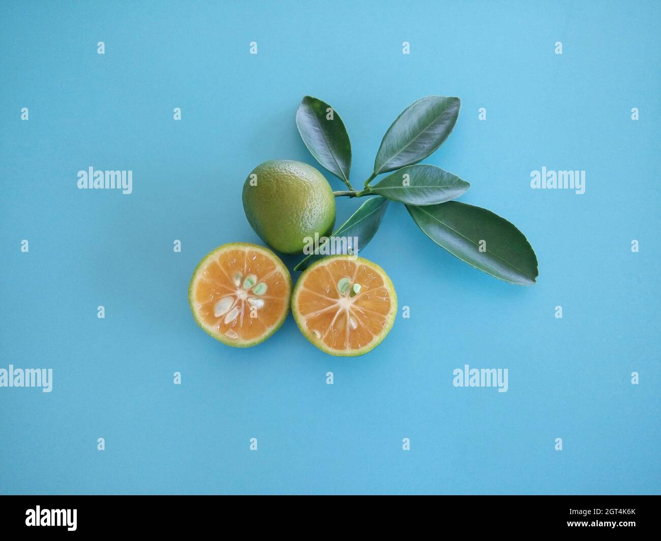 Calamansi plant fruit hi-res stock photography and images - Alamy