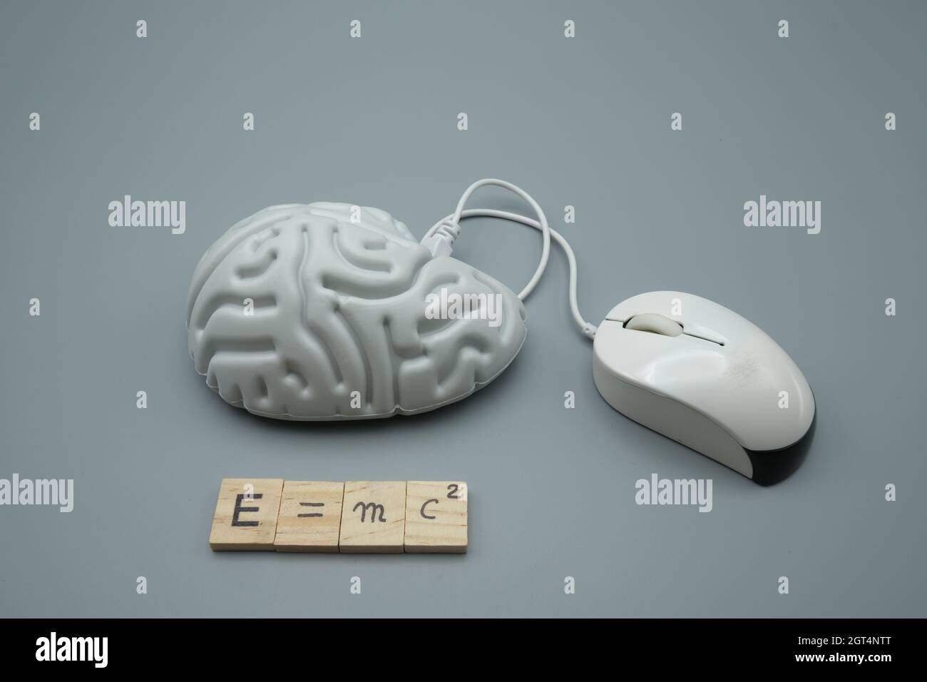 Brain of a mouse hi-res stock photography and images - Alamy