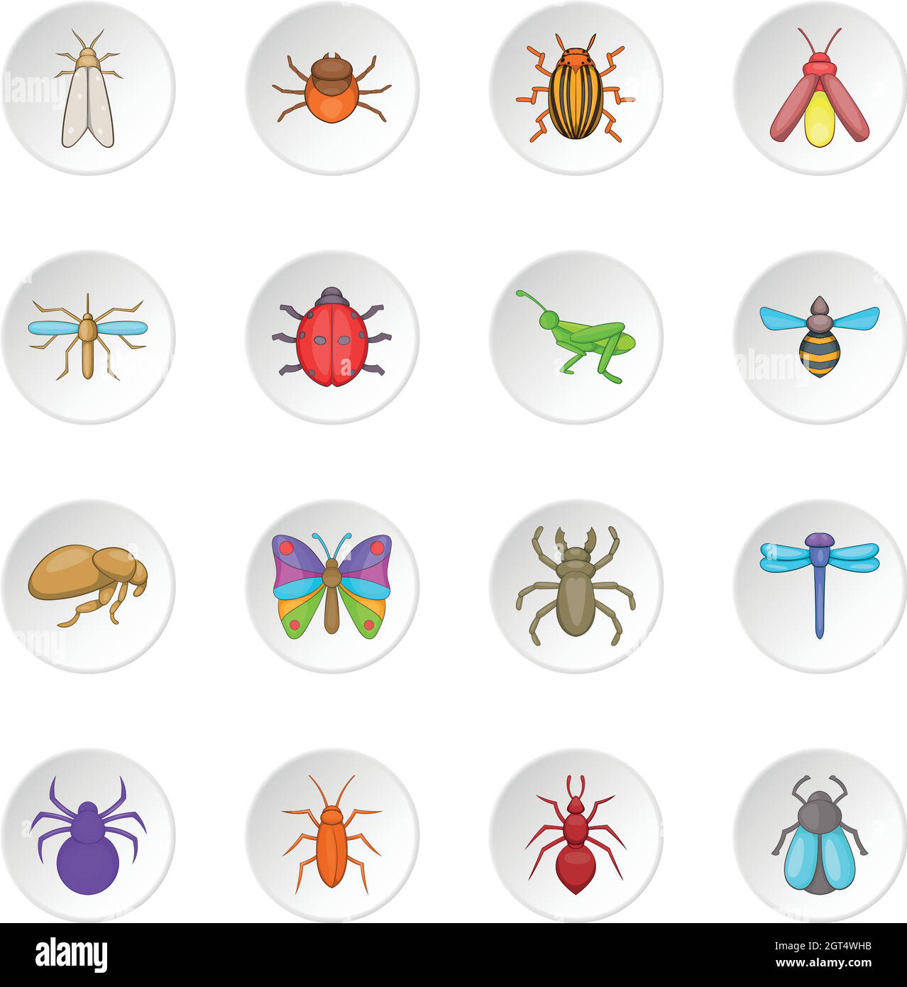 Small black insects Cut Out Stock Images & Pictures - Alamy