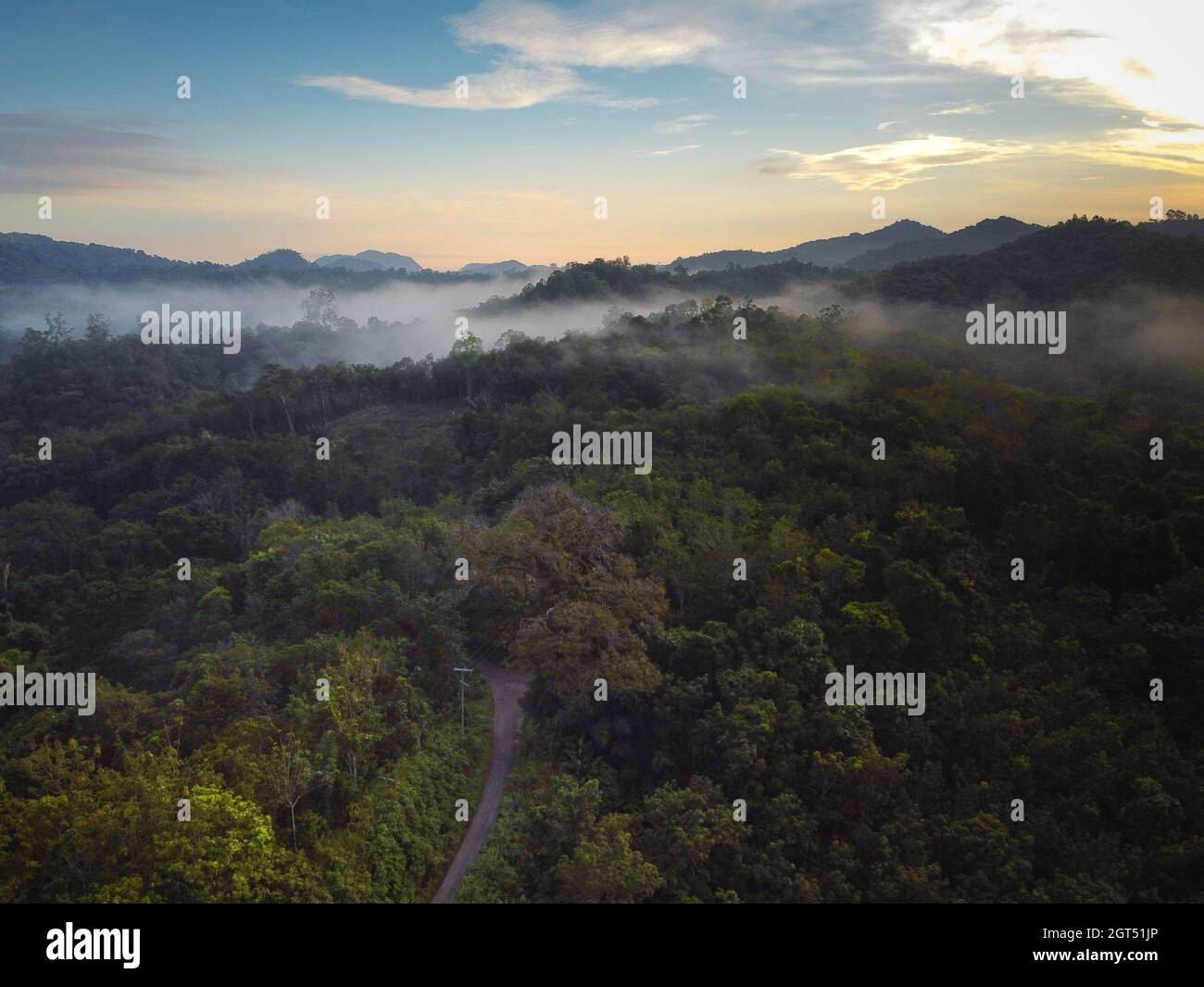 Tropical rainforest in kalimantan hi-res stock photography and images ...