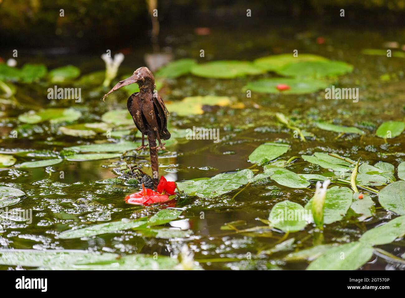 Water feature fountain in a garden pond Stock Photo - Alamy