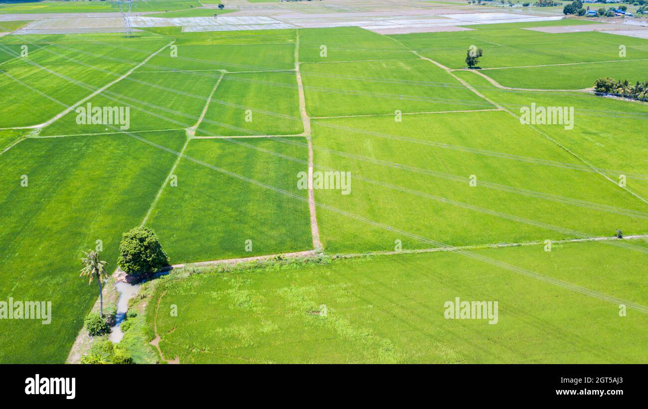 Lop buri province hi-res stock photography and images - Alamy