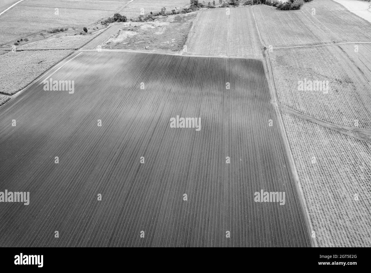 Black and white image aerial landscape of fallow soil beside planted ...