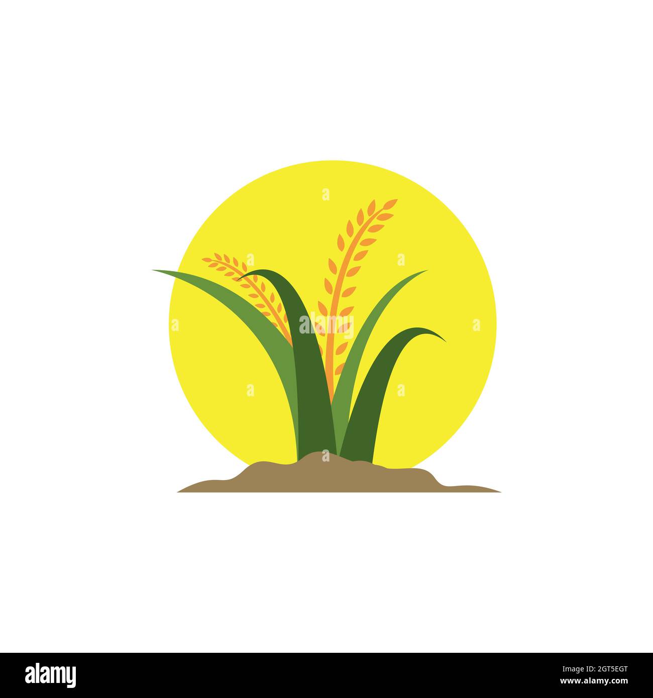 Rice logo template vector icon design Stock Photo - Alamy