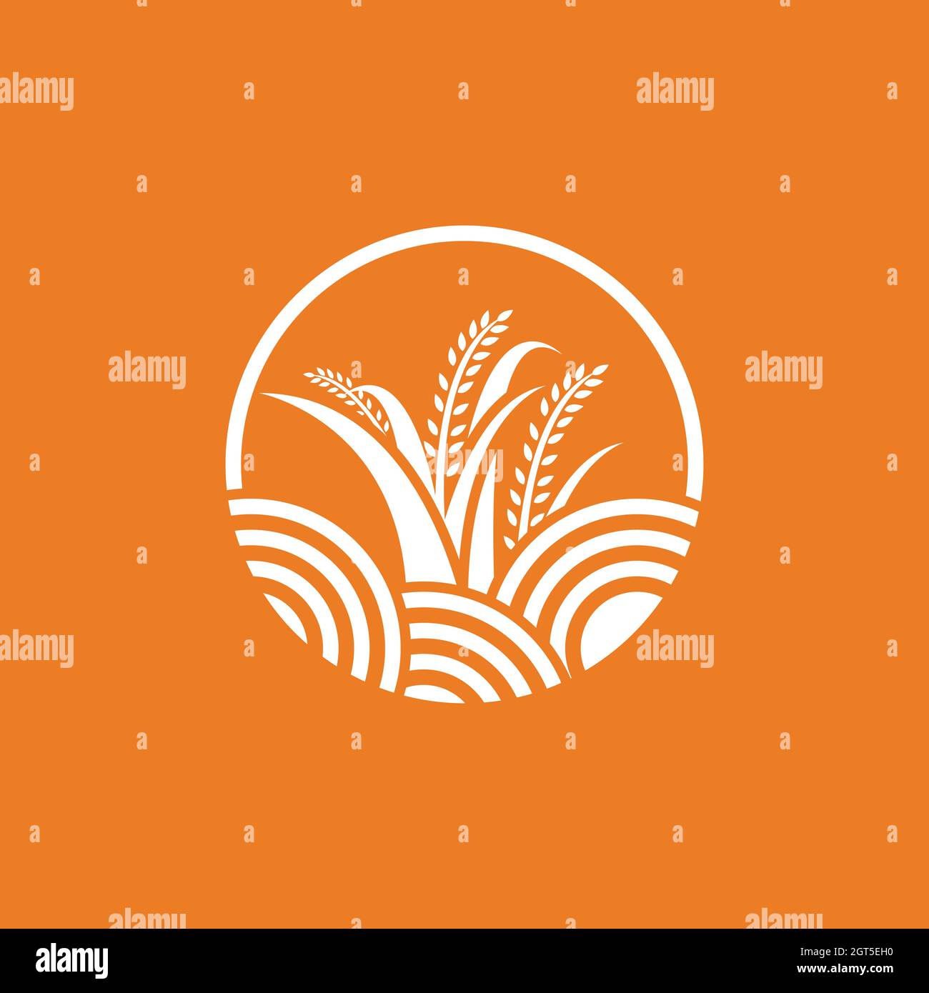 Rice logo template vector icon design Stock Photo - Alamy