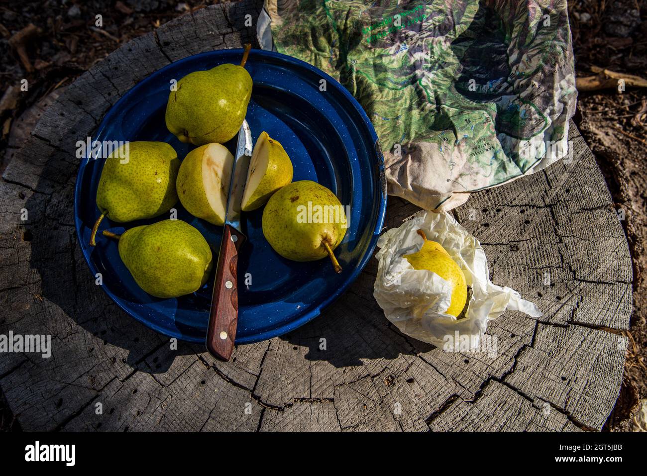Map of mammoth hi-res stock photography and images - Alamy