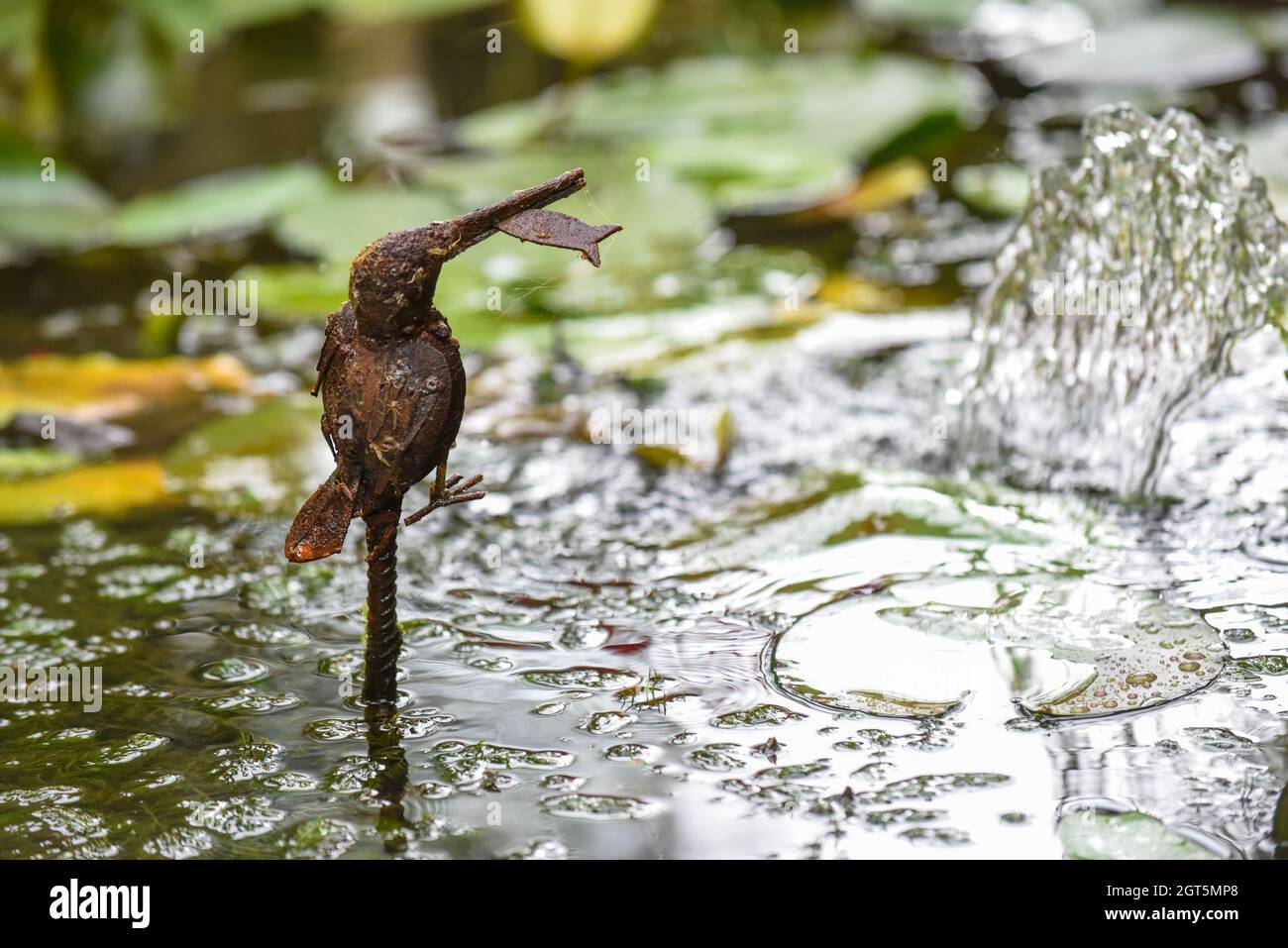 Water feature fountain in a garden pond Stock Photo - Alamy