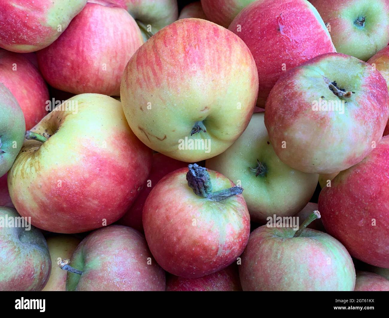 Jabuka hi-res stock photography and images - Alamy