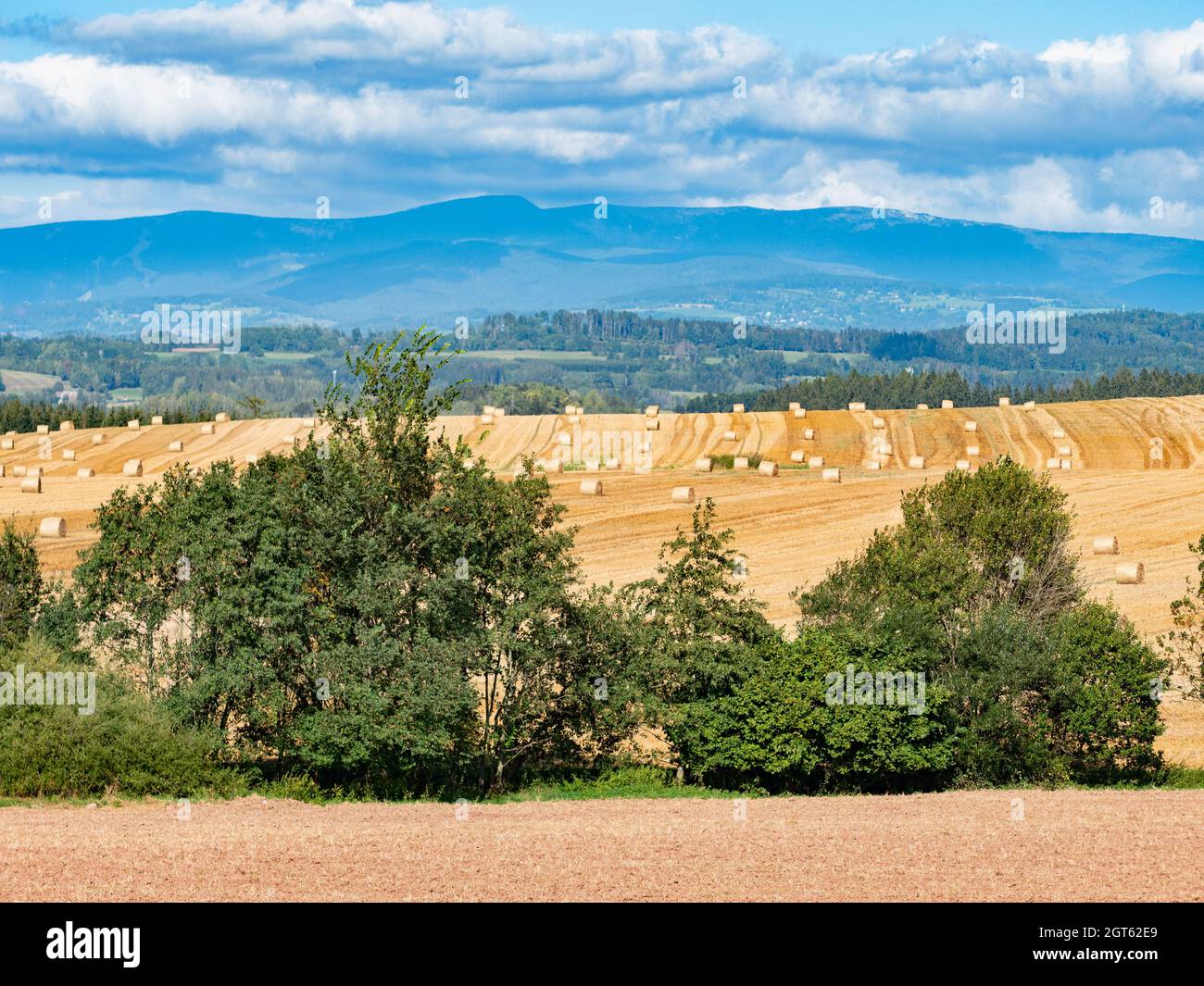 Desert crop circle hi-res stock photography and images - Alamy