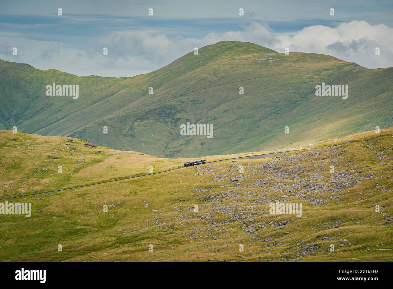 Wildlife ranger uk hi-res stock photography and images - Alamy