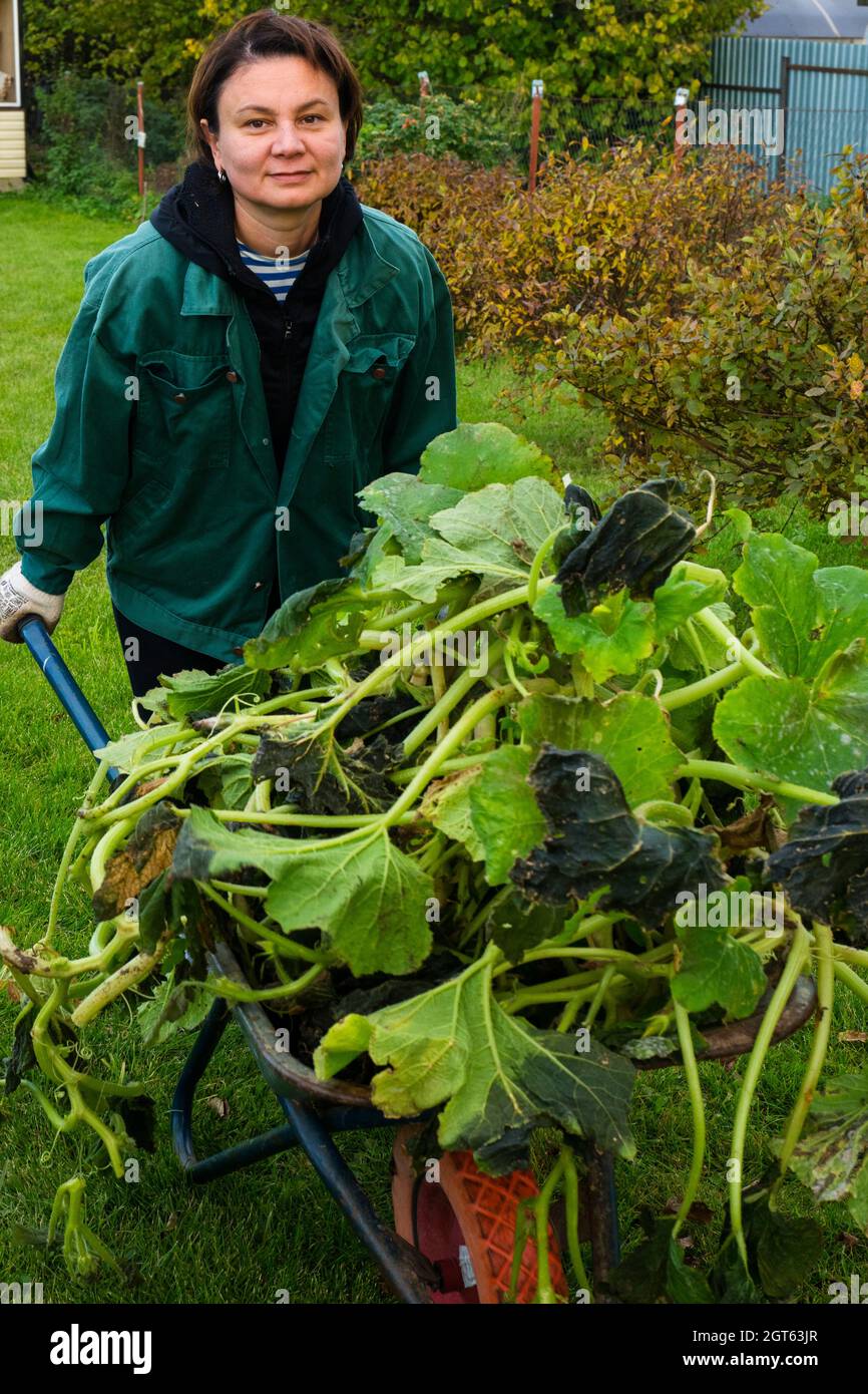 Wheel barrow plants hi-res stock photography and images - Alamy