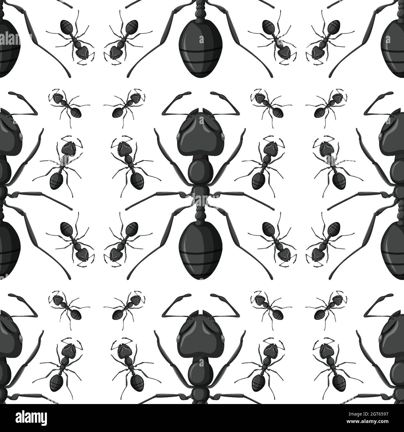Small black insects Black and White Stock Photos & Images - Alamy