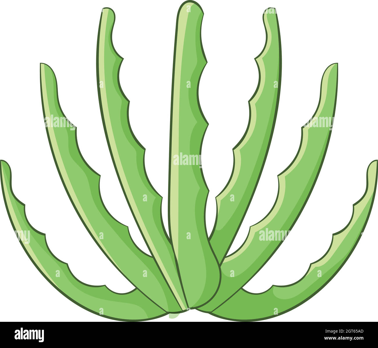 Agave icon, cartoon style Stock Vector Image & Art - Alamy