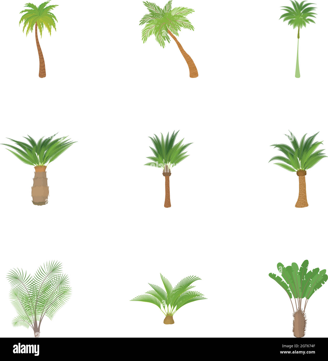 Palma icons set, cartoon style Stock Vector Image & Art - Alamy