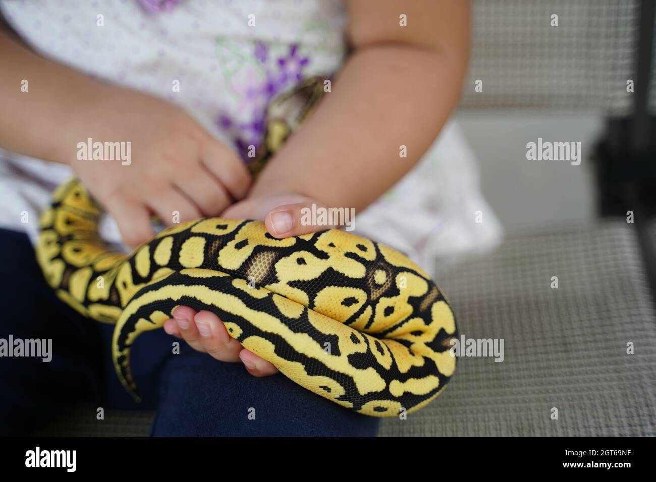 Snake home child hi-res stock photography and images - Alamy